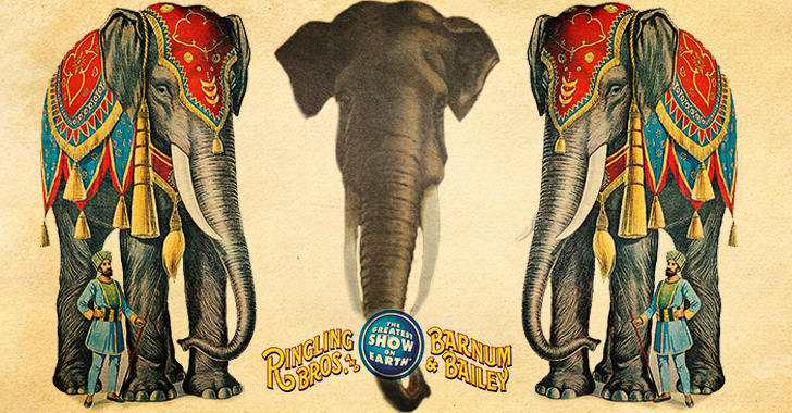 Ringling Bros. Circus To Eliminate Elephant Acts