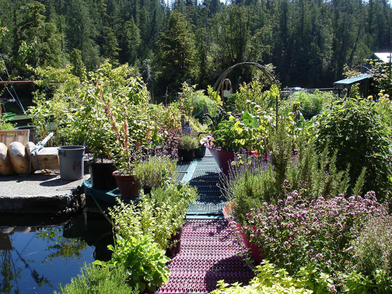 Couple Create Off-Grid Floating Island In 20 Years
