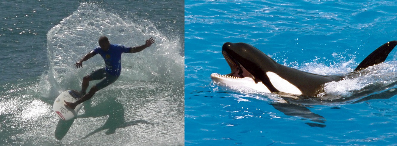 Surfer Kelly Slater Challenges SeaWorld