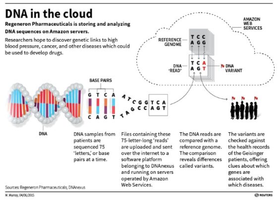 Amazon, Google Want To Store Your DNA On Cloud