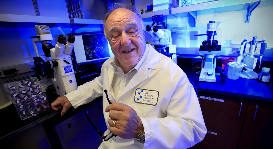 Cancer Cells Reformed, Made To Kill Each Other