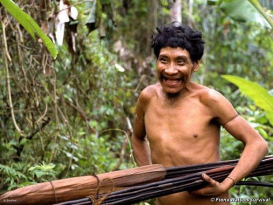 Ancient Humans Created 12% Of The Amazon Rainforest With “Black Earth ...
