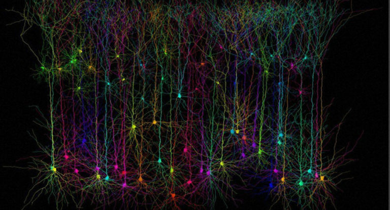 Scientists Create First "Biological Super Computer"
