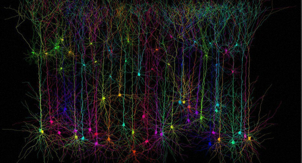Scientists Create First "Biological Super Computer"