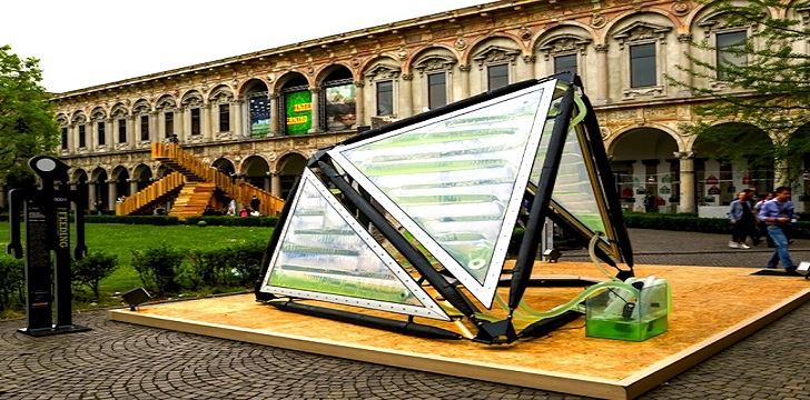 Every Day, This Algae Canopy Produces The Same Amount Of Oxygen As Four ...