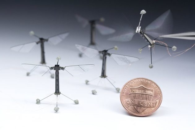 Project Originally Funded By DARPA Seeks To Replace Bees With Tiny ...