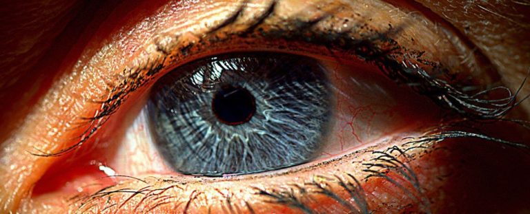 Scientists Create Fully Organic Retina Implant that Could Restore ...